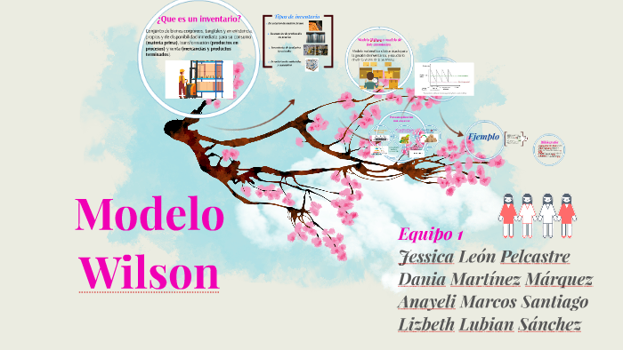 Modelo Wilson by Jess LP on Prezi