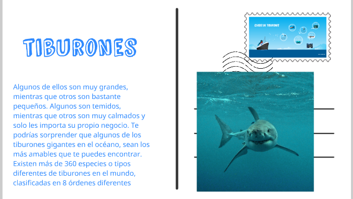 clases de tiburones by veronica rodriguez cabrerizo on Prezi