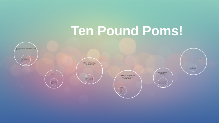 Who are the Ten Pound Poms and where are they from by Jess Atkins