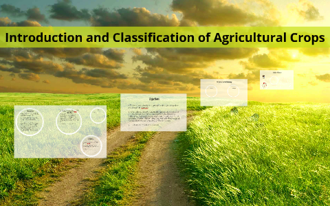 Introduction and Classification of Agricultural Crops by on Prezi