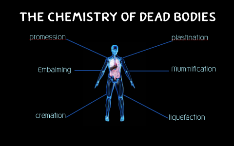 The Chemistry of Dead Bodies by Jeon Jeon