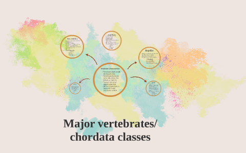 Major vertebrates/chordata classes by Lyndsey White on Prezi