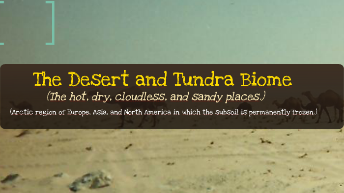 Desert and Tundra Biome by Noa Hirschson on Prezi