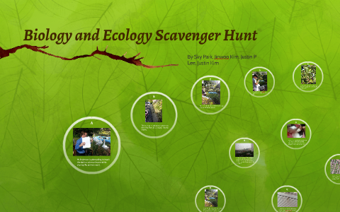 Biology and Ecology Scavenger Hunt by Sky Park on Prezi