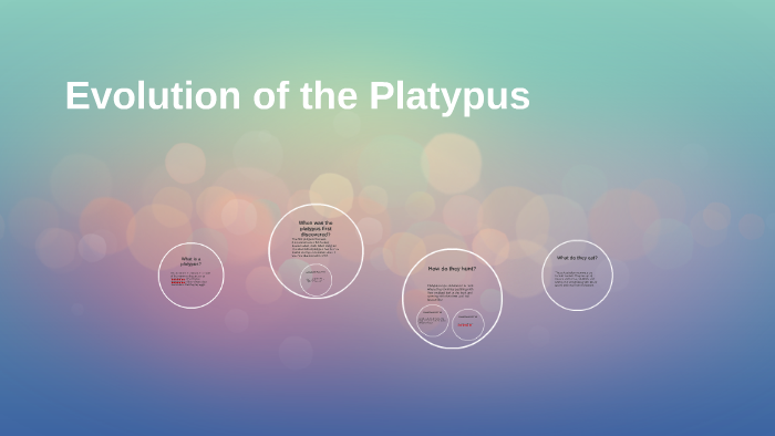 Evolution of the Platypus by Sarah Salcedo on Prezi