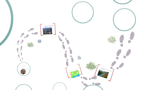 abc project by Adam Delorme on Prezi