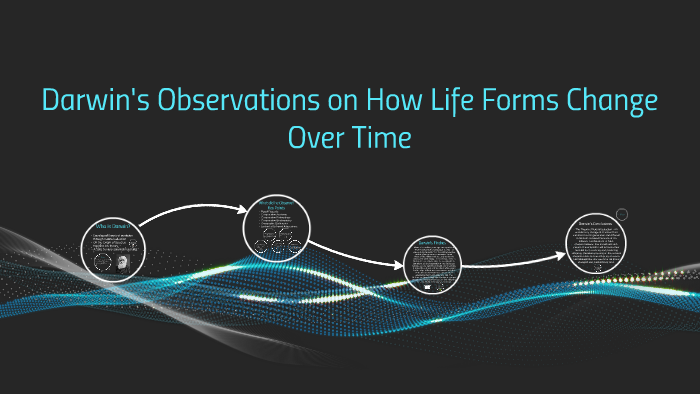 Darwin's Observations on How Life Form Change Over Time by parker ...