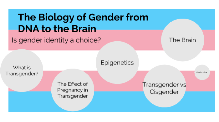 The Biology of Gender from DNA to the Brain by Kitana Lalonde - PAS ...