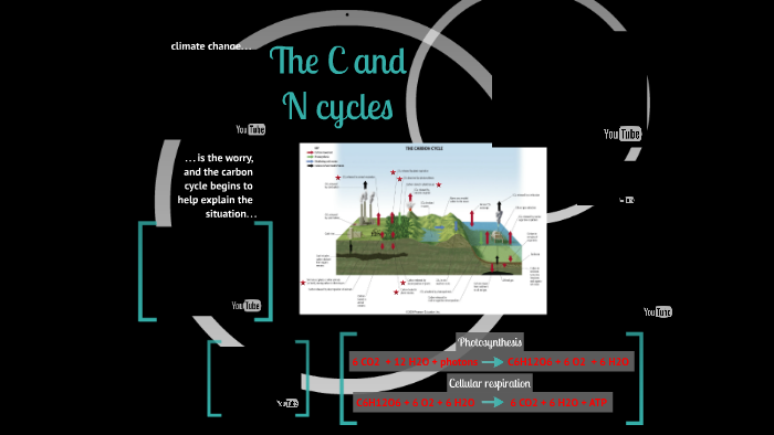 ANSC 227: The Carbon Cycle by Dr. Charlie Apter on Prezi