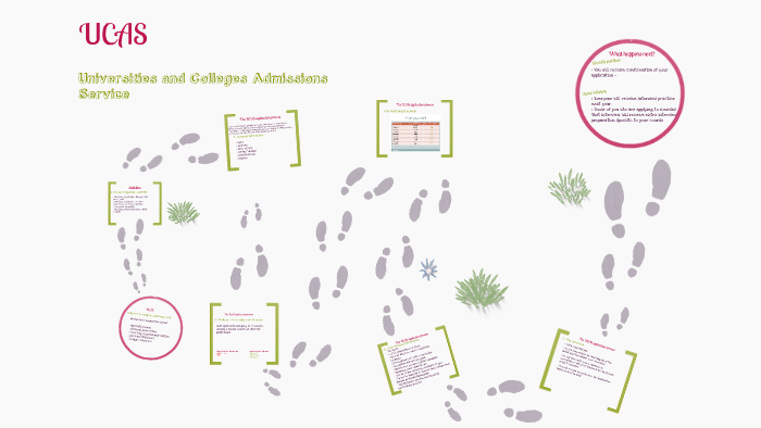 The UCAS application process by Nigel. A. Lewis