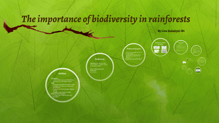 The importance of biodiversity in rainforests by Mary Sky on Prezi