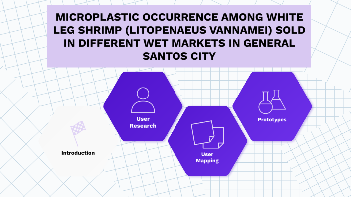Microplastic in Shrimp by Jin Liu on Prezi