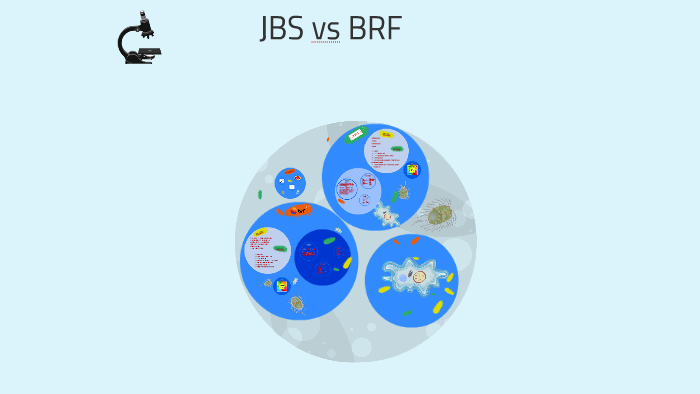 JBS vs BRF ANALYSIS by Frederico Gerade Amadeu on Prezi
