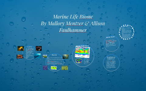 Marine Life Biomes by Mallory Mentzer on Prezi