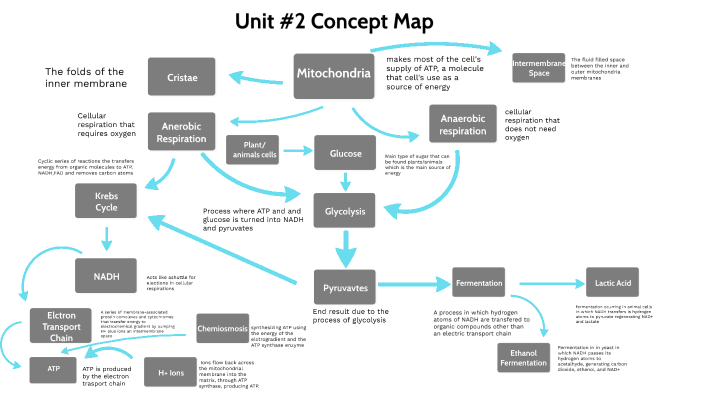 Unit #2 Concept Map by Emmanuel Akot on Prezi Next