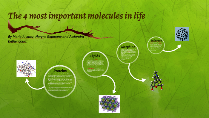 The 4 most important molecules in life by Maria Alvarez Negueruela on Prezi