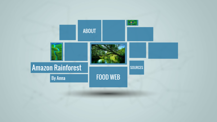 Amazon Rainforest by Anna Ells on Prezi