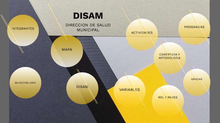 INFORME DISAM by MdelosAngeles Guazzini R on Prezi