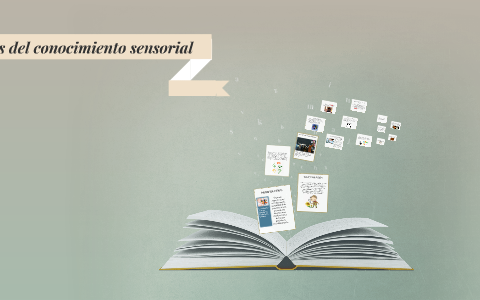 Etapas del conocimiento sensioral by Stephie Quiñonez on Prezi