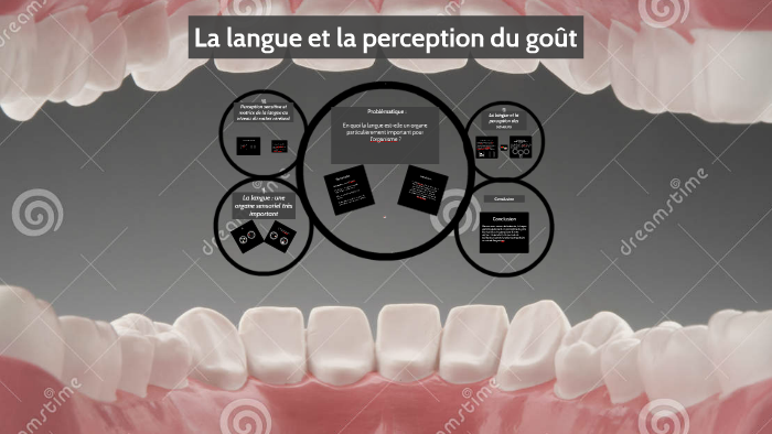 Les papilles gustatives by Benjamin Le Gars on Prezi