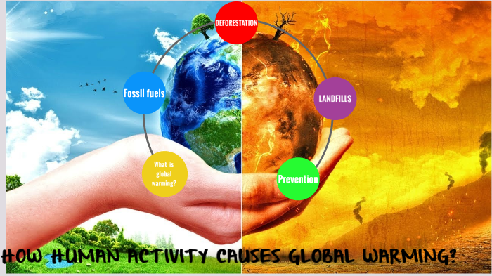 Causes Of Global Warming Images