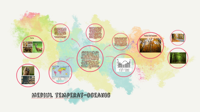 Mediul temperat-oceanic by Ene Corina on Prezi