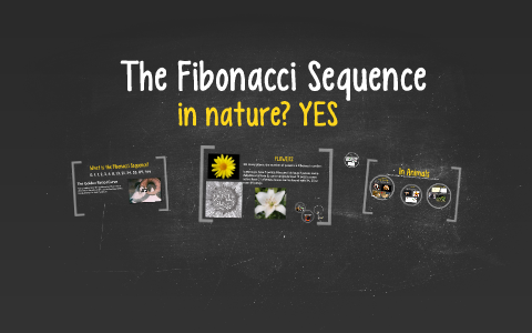 The Fibonacci Sequence by jenna stebbins on Prezi