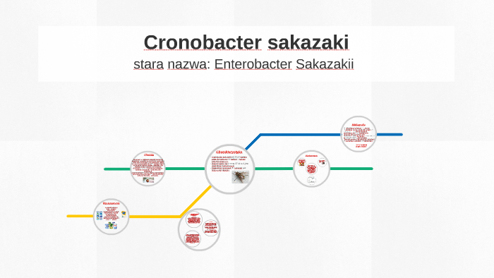 Cronobacter sakazaki by klaudia lakoma on Prezi