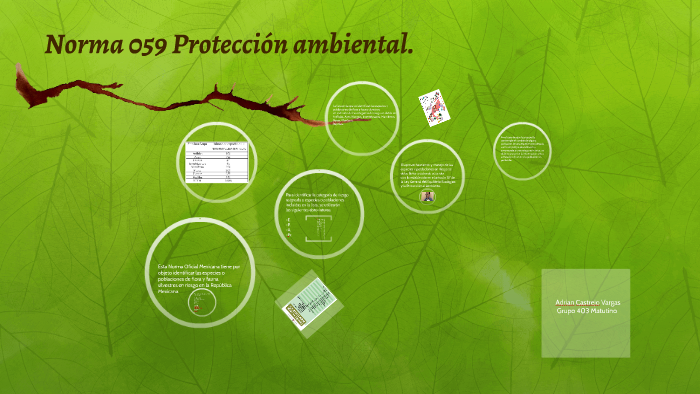 Norma 059 Protección ambiental. by Jake Betancourt on Prezi