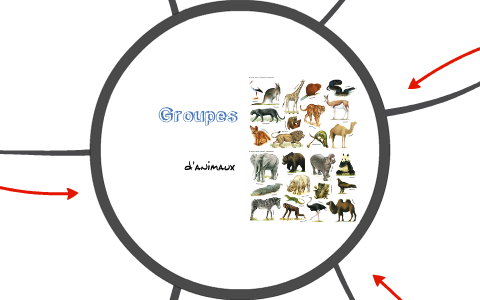 Groupes d'animaux (3e) by Nancy Paquet on Prezi