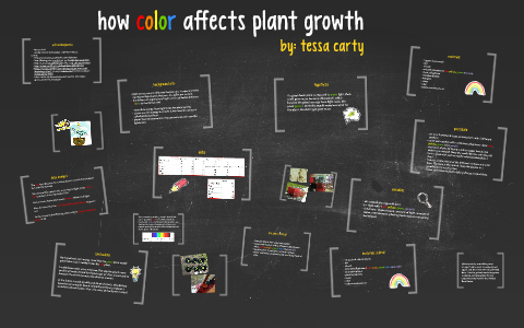 How Color Affects Plant Growth by Tessa Carty on Prezi