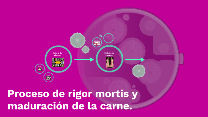 Proceso de rigor mortis y maduración de la carne. by joceline ordaz ...
