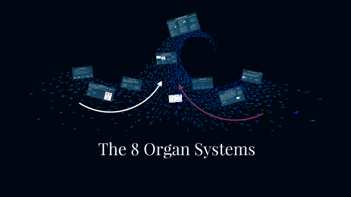 The 8 Organ Systems by Megan Smith on Prezi