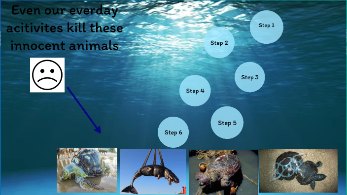 Visual Rhetoric Project by Katherine Arquit on Prezi