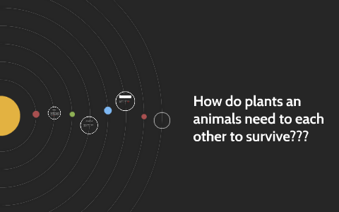 How do plants an animals need to each other to survive. by Arturo ...
