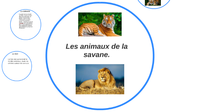 Les animaux de la savane. by ecole viricelles on Prezi