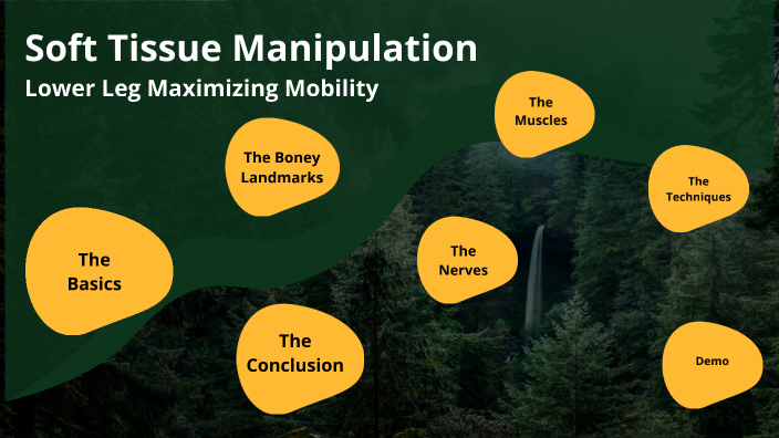Student Soft Tissue Manipulation- Lower Leg by Samantha Dowling on Prezi
