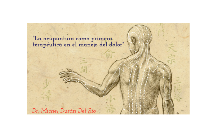 Pain Acupuncture by Michel Duran