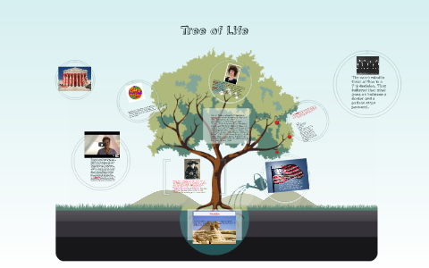 The first abortion was recorded in 1075 BCE in ancient Egypt by Arda ...