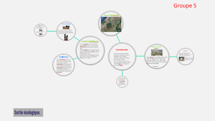 Sortie écologique. by taha elhassouni on Prezi