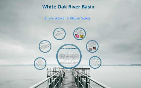 White Oak River Basin by Ariana Weaver on Prezi