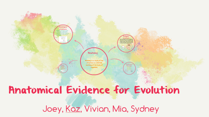 Anatomical Evidence for Evolution by Kaz Veitas on Prezi