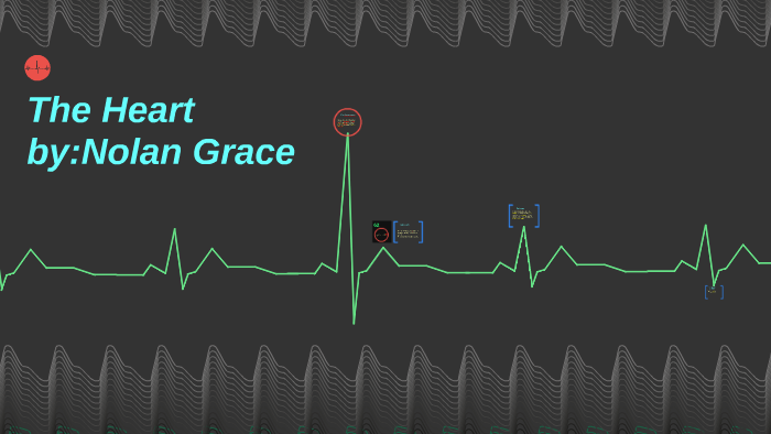 The Heart by mnbkjb nbhgv on Prezi