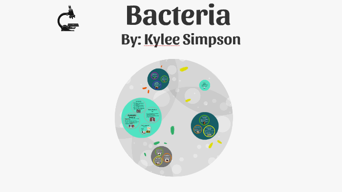 Bacteria by Kylee Simpson on Prezi