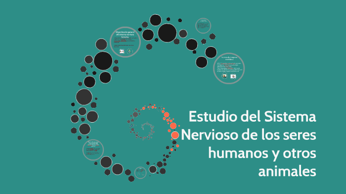 Estudio del Sistema Nervioso de los seres humanos y otros an by ...