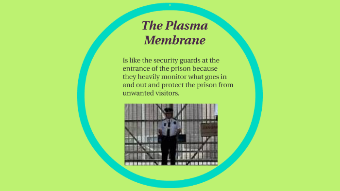Plant Cell and Prison Analogy Map by McKenna Green on Prezi