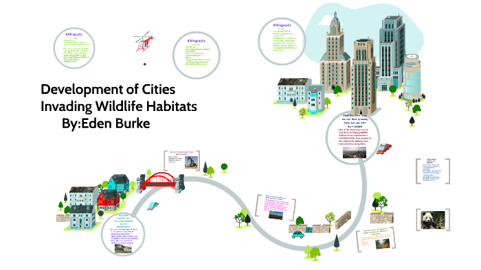 Development of cities invading wildlife habitats by eden burke