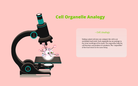 Cell Organelle Analogy by Anna Marie L. on Prezi