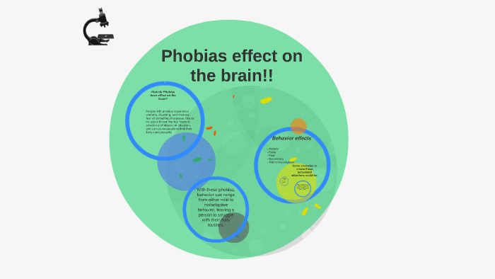 Phobias effect on the brain!!! by Juanita Martinez on Prezi