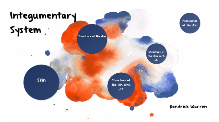 Integumentary System Concept Map by kendrick warren on Prezi
